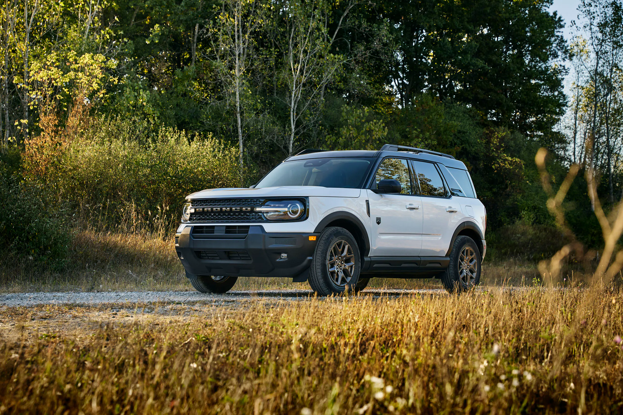 Ford Bronco Sport Bronze Package Is Subtle in All the Right Ways ...
