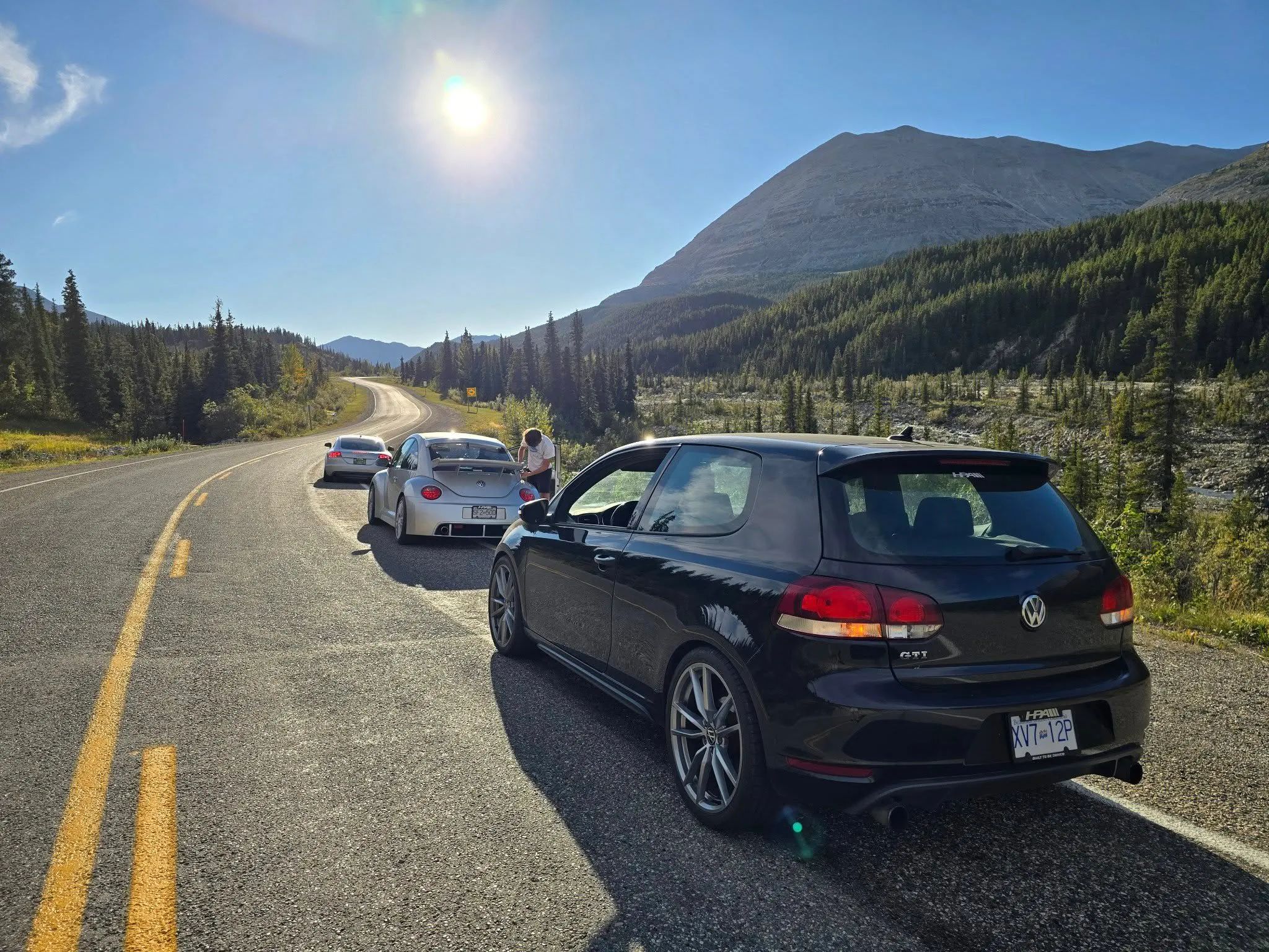 The World’s Most Expensive Beetle Visits the Yukon - Hagerty Media