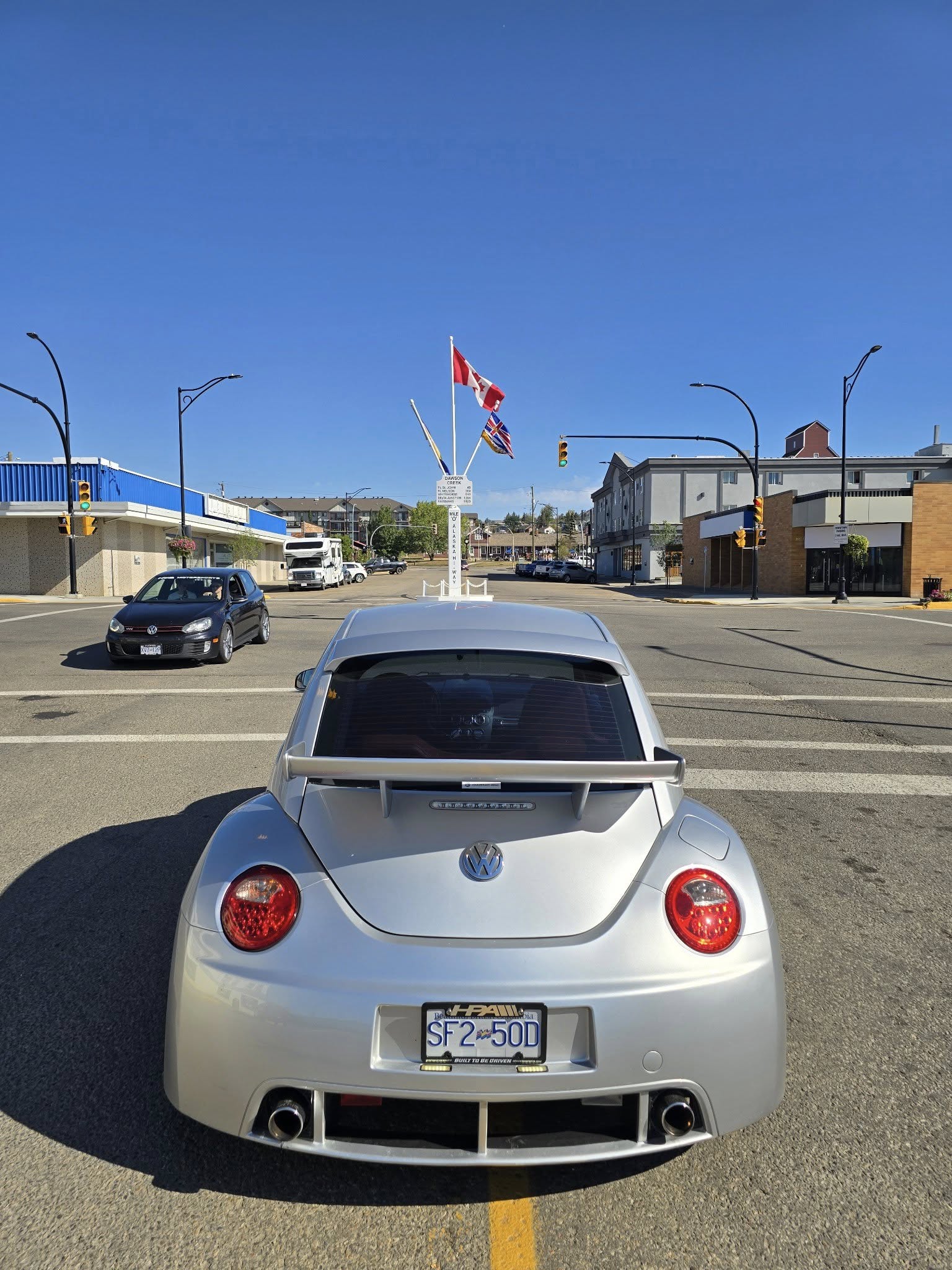 The World’s Most Expensive Beetle Visits the Yukon - Hagerty Media