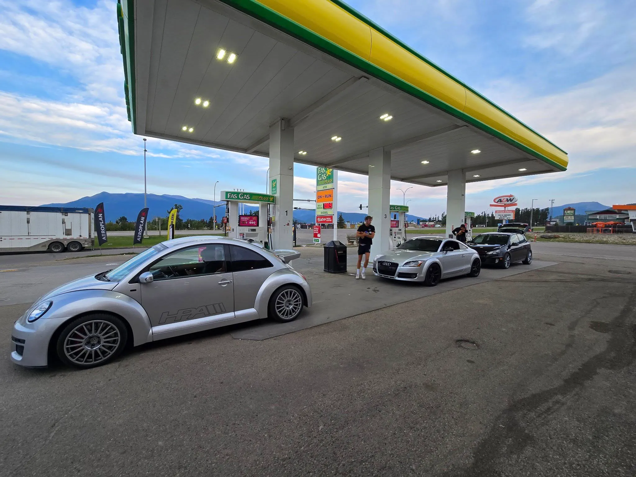 The World’s Most Expensive Beetle Visits the Yukon - Hagerty Media