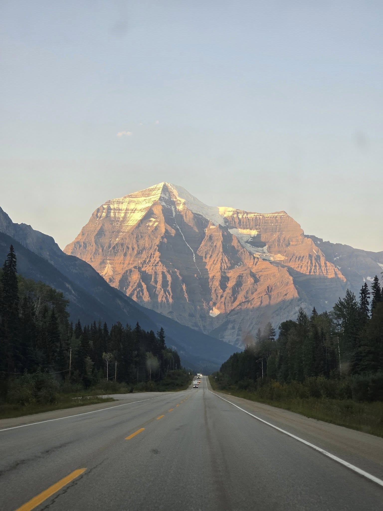 The World’s Most Expensive Beetle Visits the Yukon - Hagerty Media