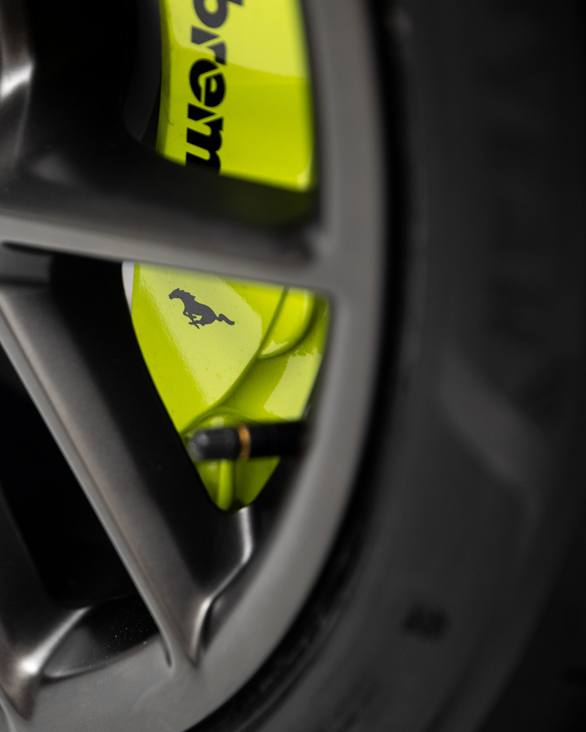 2026 Ford Mustang EcoBoost RTR Borrows a Page from the Dark Horse ...