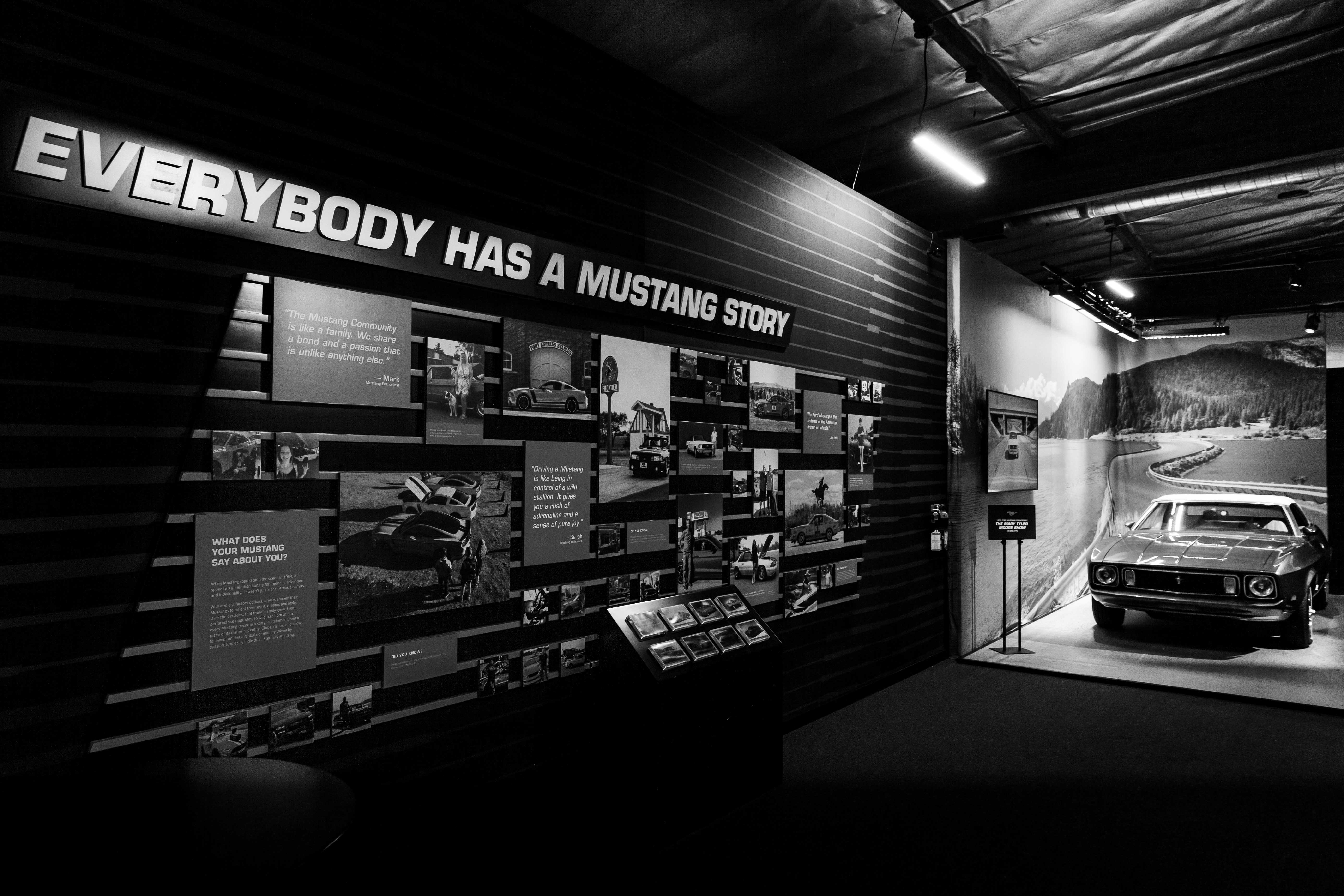 “American Icon: A Mustang Immersive Experience” Is a Celebration of ...