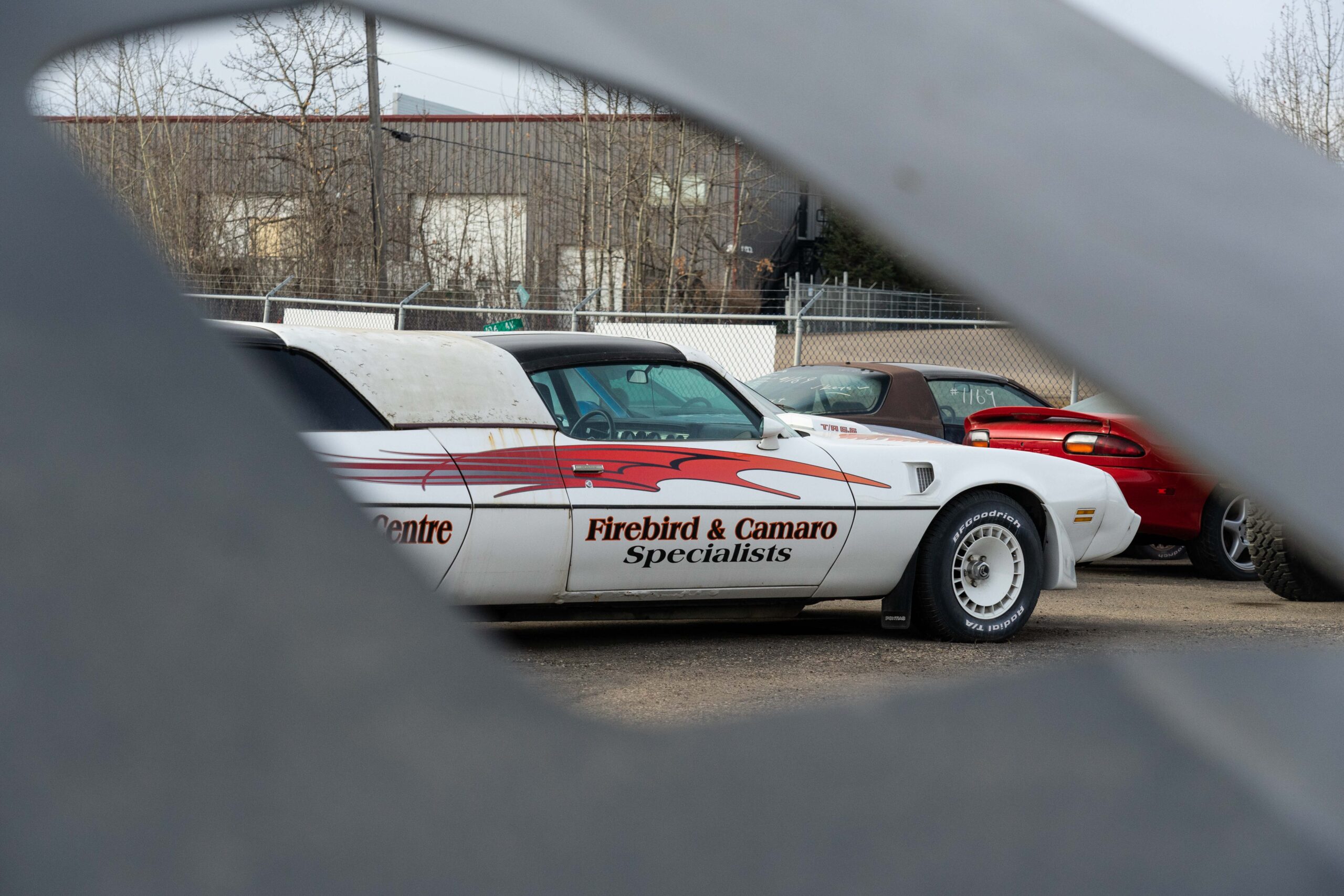 Canada Is Home to the Firebird and Camaro Field of Dreams - Hagerty Media