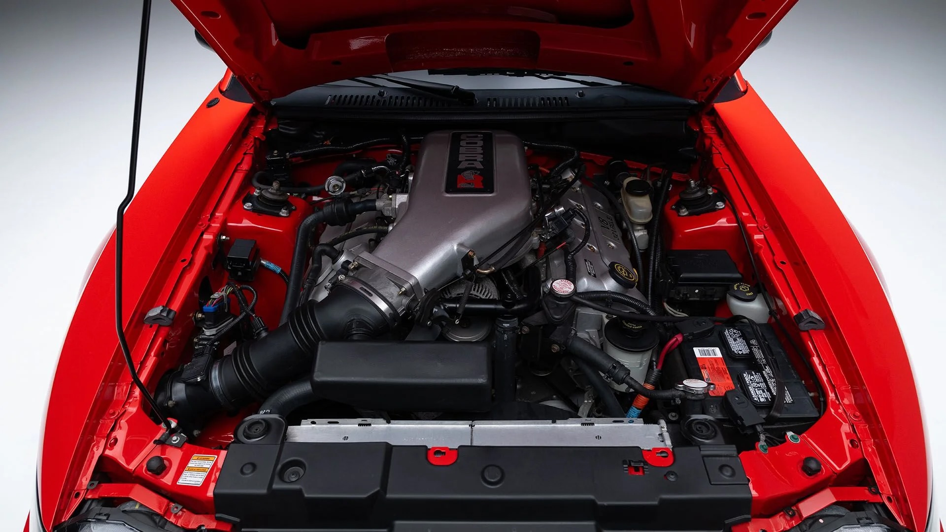 The 2000 Ford Mustang SVT Cobra R Was the Best Automotive Apology in ...