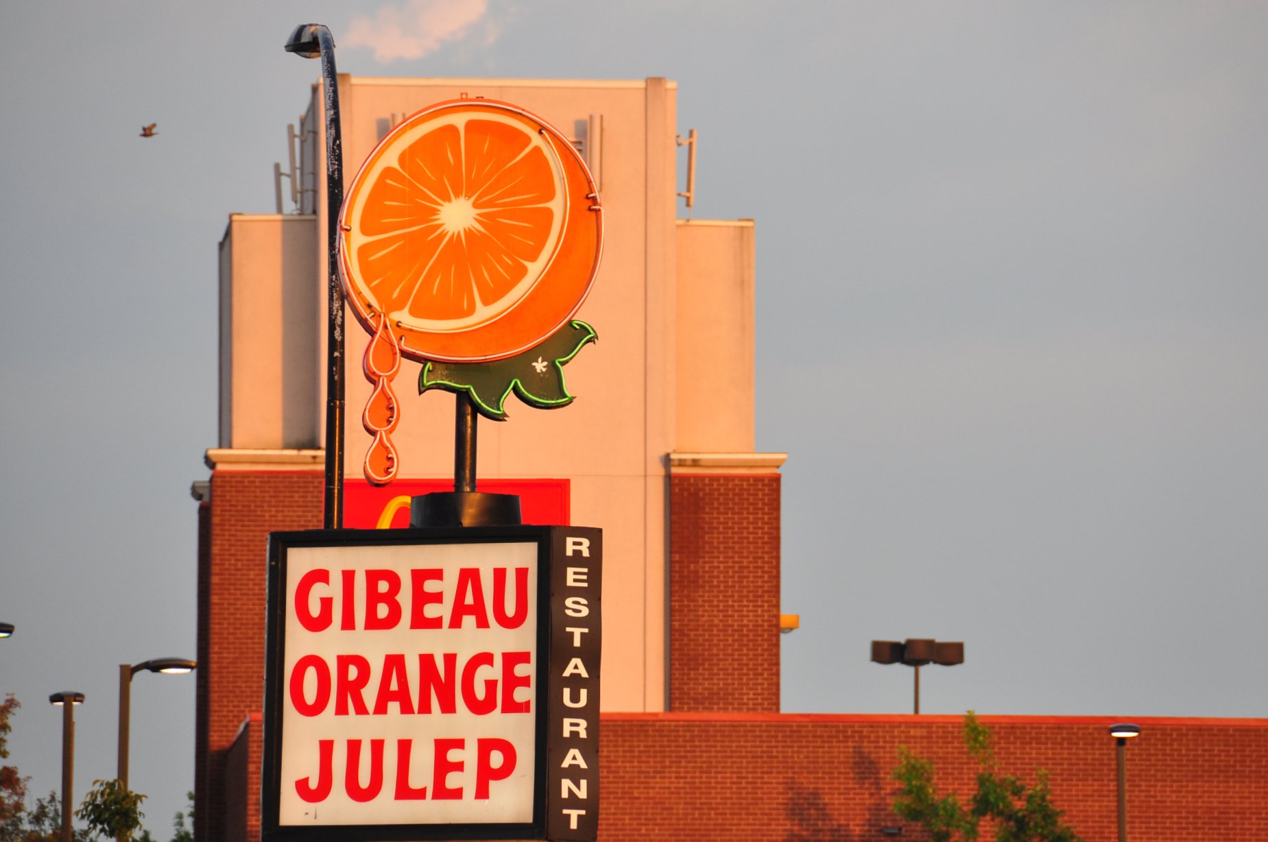 Gibeau’s Orange Julep and the Rise and Fall of Montreal Car Culture ...