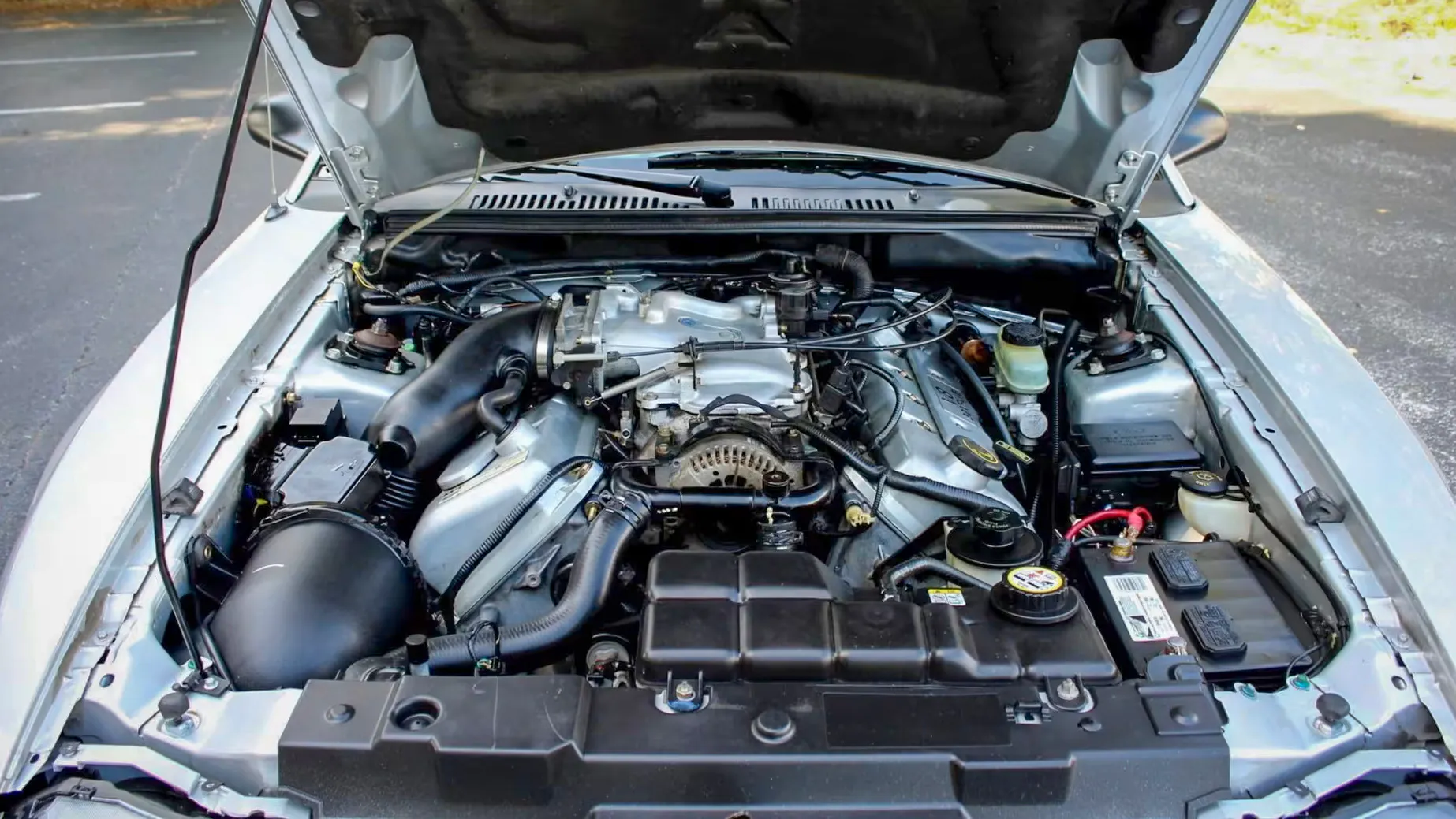 How Ford Turned the ‘99 SVT Cobra Crisis Into a Win That Saved the ...